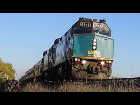 Fast CN, CP and VIA Trains in Eastern Manitoba (10/11/21) - YouTube