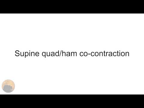 Hamstring/Quad Co-Contraction Exercise MOON Knee Rehab Proogram - YouTube