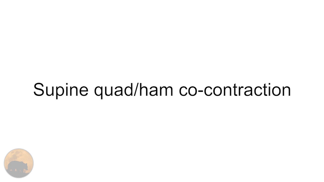 Hamstring/Quad Co-Contraction Exercise MOON Knee Rehab Proogram - YouTube