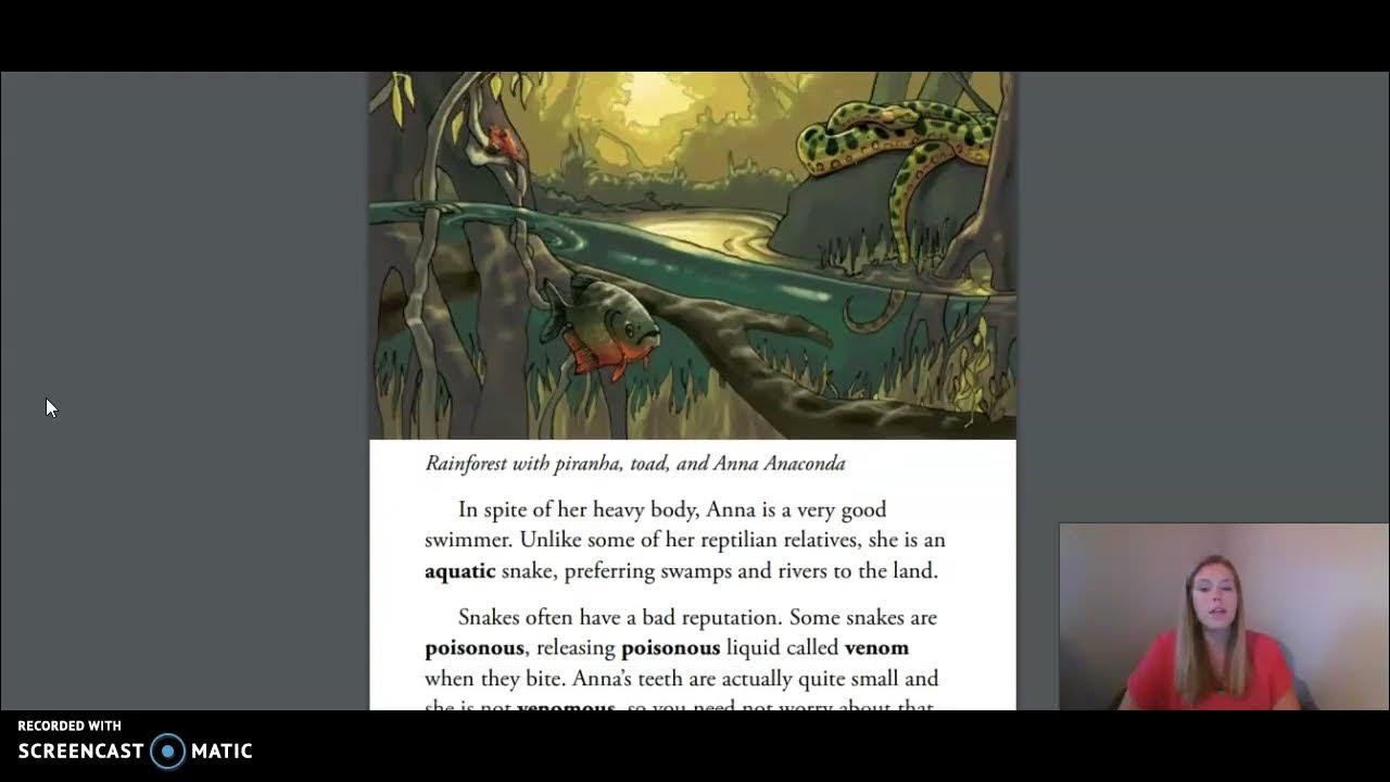 3rd Grade CKLA ELA - Unit 2 Lesson 8 Animal Classification: Cold ...