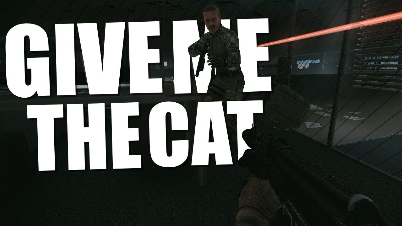 Escape From Tarkov - Give Me The Cat - YouTube