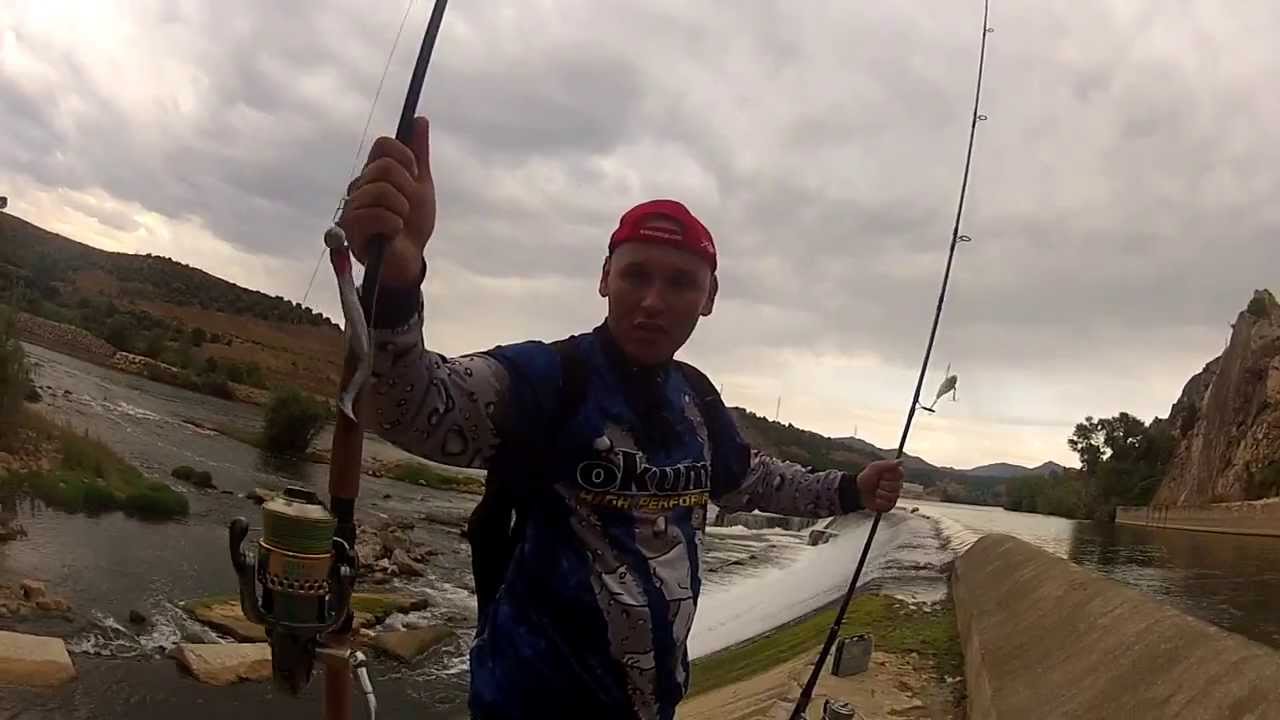 Braca Panic i Drugari - Pecanje Soma na Ebru 2013 - YouTube