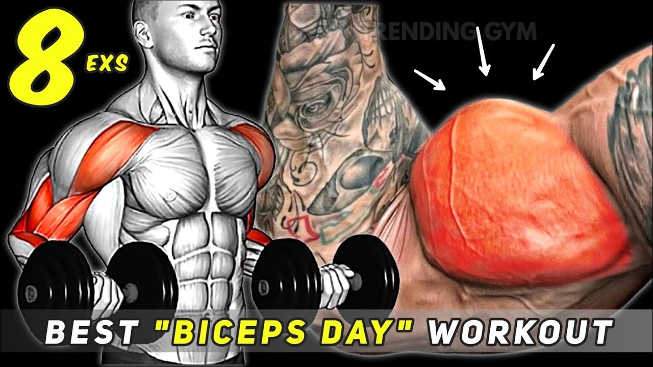 Try These Biceps Exercises Routine - Biceps Workout Day - YouTube