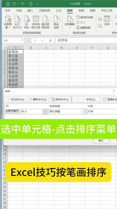 Excel技巧按笔画排序 Exceltips Exceltips Learnexcel Learnexcelfree Learnexcelonline Exceltricks