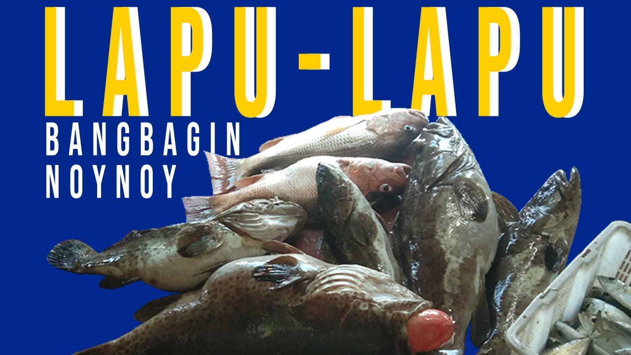 Fishing in Bataan, Philippines | Fishing vlog #01 - YouTube