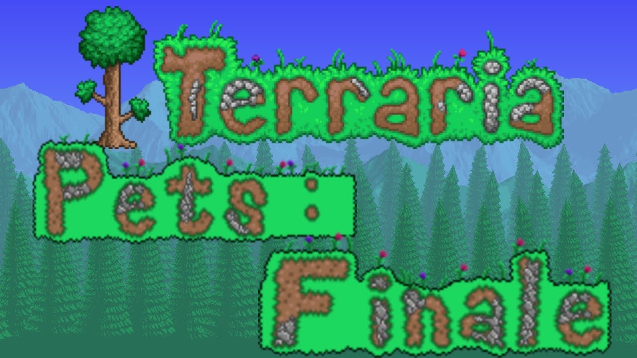 Terraria Pets!: Finale - YouTube
