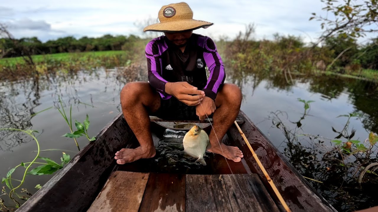 PESCANDO DE CANIÇO PACU E SARDINHA NO AMAZONAS (pesca ribeirinha no ...