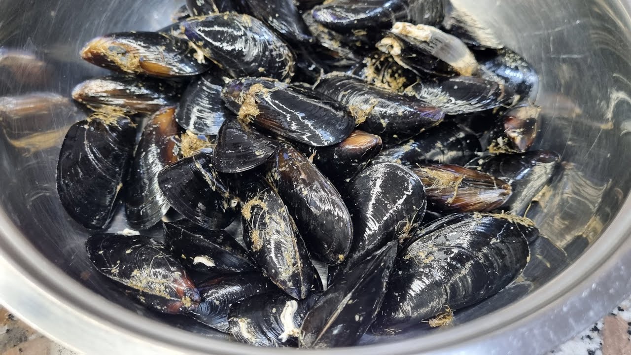 Pulire e spurgare le cozze con il metodo del sale | MAMMASTYLE.IT ...