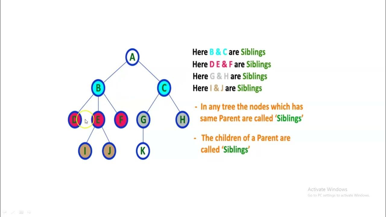 TREES | Data Structures| Ms. S. GEETHA PRIYA, ASSISTANT PROFESSOR, CSE, R.M.D.E.C. - YouTube