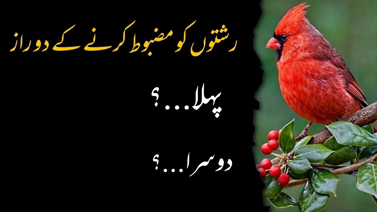 Rishton ko mazbut krne ke 2 raz | islamic Quotes | Hazrat ali (R. A ...