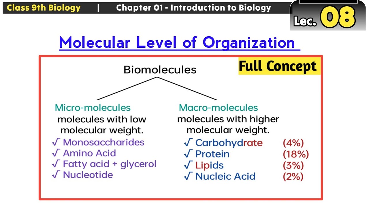 Molecular level | level of biological organization | class 9 - YouTube