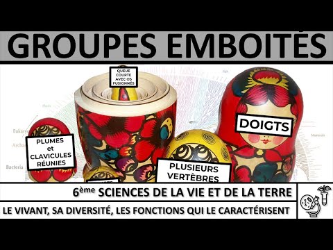 La méthode des groupes emboités – Capsule 6ème SVT - YouTube