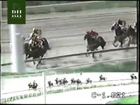 El caballo MISTER BYRON demostro mucha calidad en la Rinconada y en Valencia.