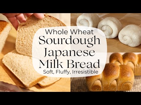 Whole Wheat Sourdough Japanese Milk Bread, aka Hokkaido Milk Bread