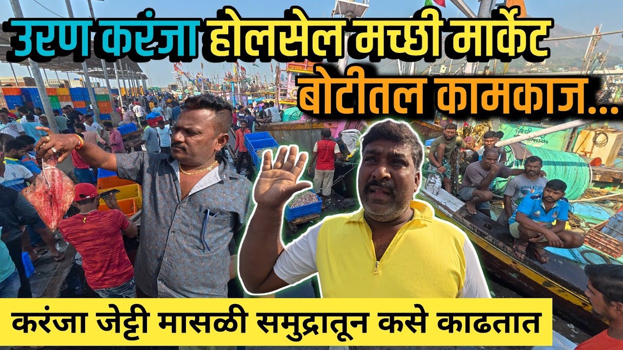 उरण करंजा होलसेल मच्छी मार्केट बोटीतल कामकाज?| Uran karanja jetty fish ...