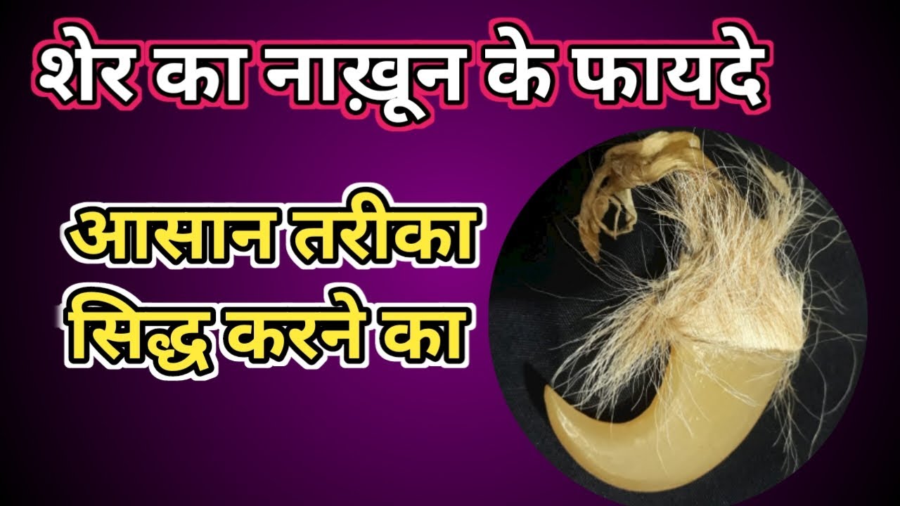 शेर के नाख़ून के फायदे //sher ke nakhun ke fayde // शेर के नाख़ून के ...
