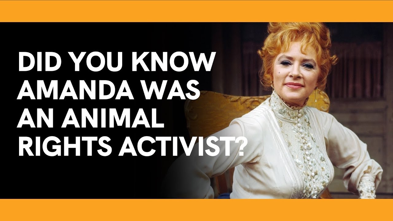 Miss Kitty Died Of Aids