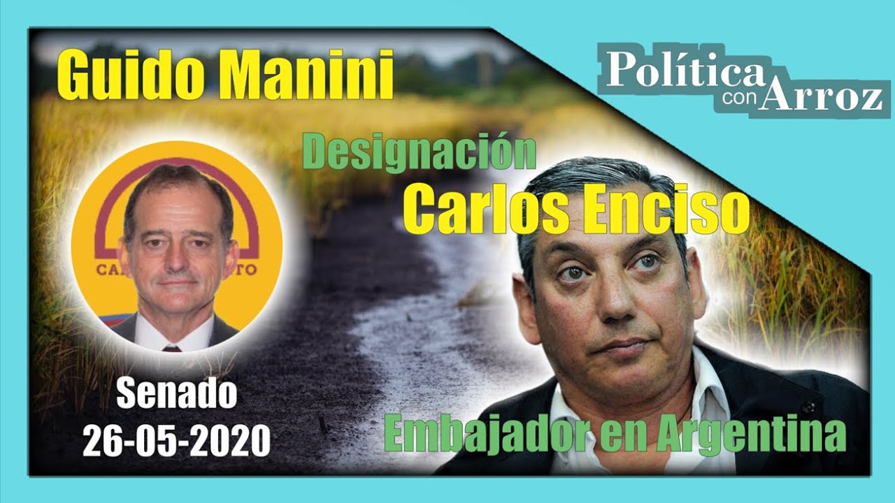 Sesión 26-05-2020 | GUIDO MANINI | Designación de CARLOS ENCISO como ...