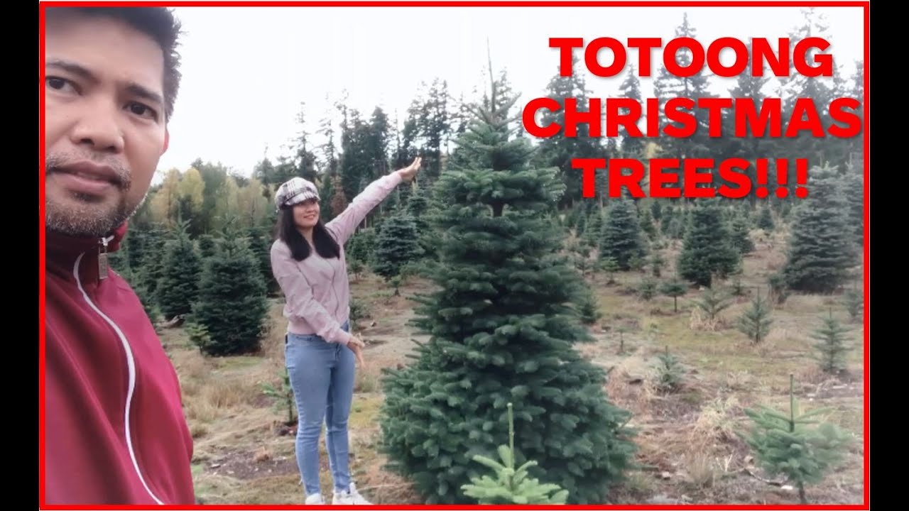 Christmas Tree Farm Tour - YouTube