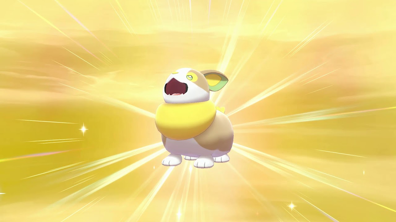 Shiny Yamper after ~900 eggs - YouTube
