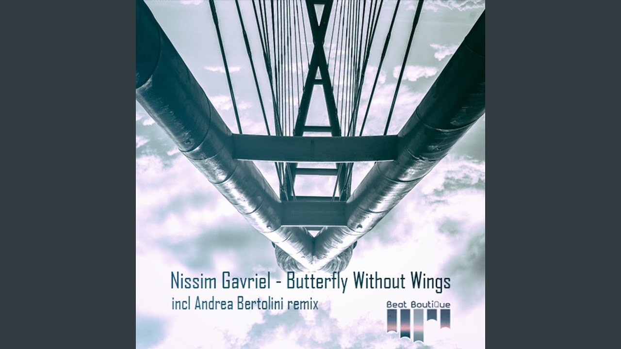 Butterfly Without Wings - YouTube