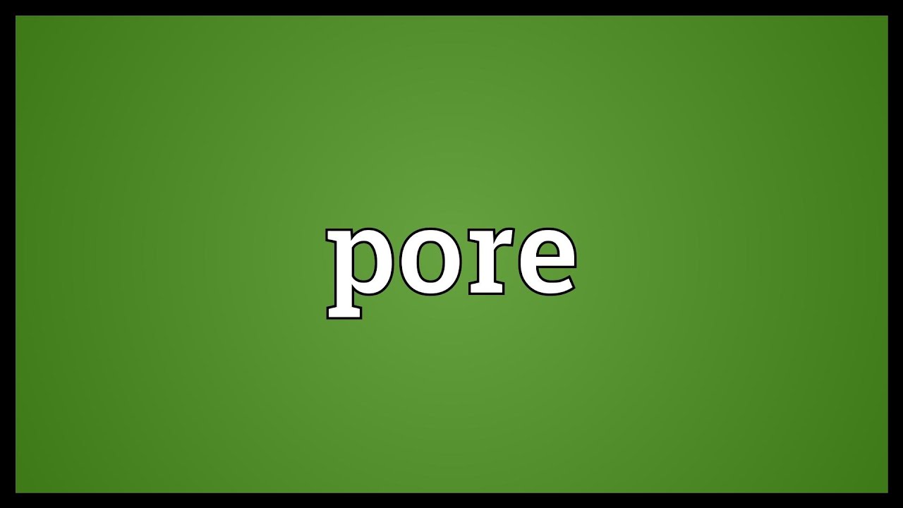 Pore Meaning - YouTube