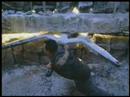 LOST: The Frozen Donkey Wheel - YouTube