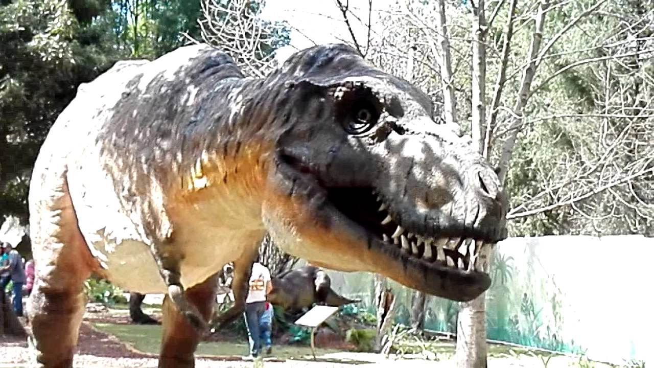 Parque El Batan - YouTube