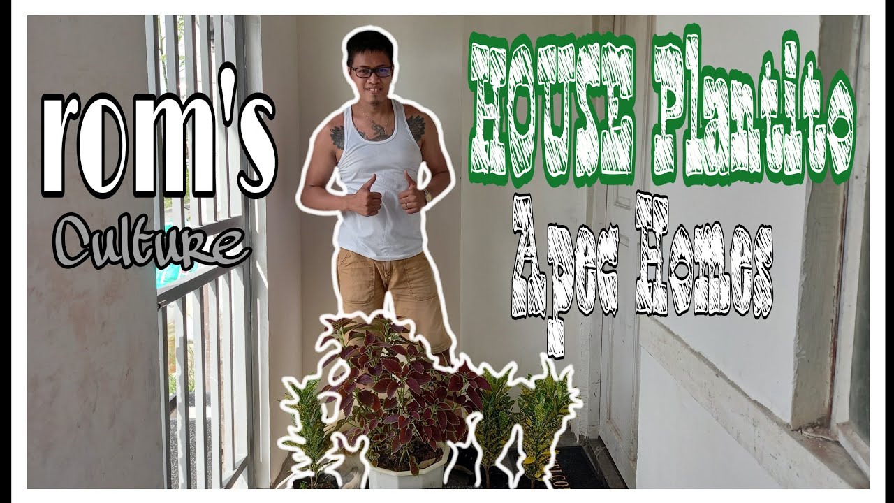 House Plantito' | House Improvements | Apec homes | roms culture | vlog#22 - YouTube