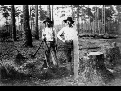 Florida Logging Era Remnants at Half Moon WMA - YouTube