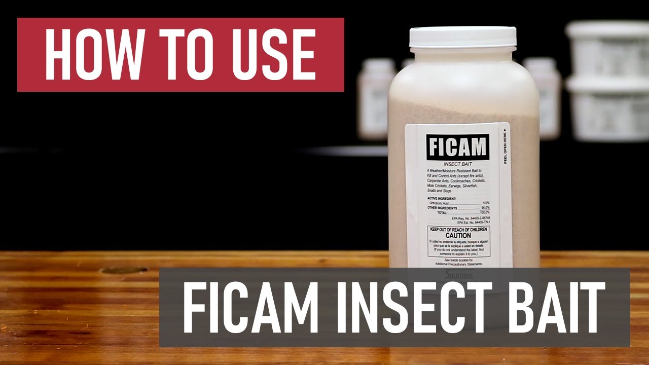How to Use Ficam Insect Bait - YouTube