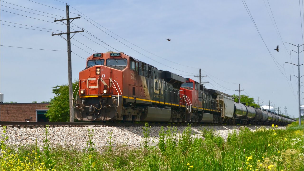 CN 2302 and 2550 lead CN U704 through Glendale Heights, IL on 7/1/2024 ...
