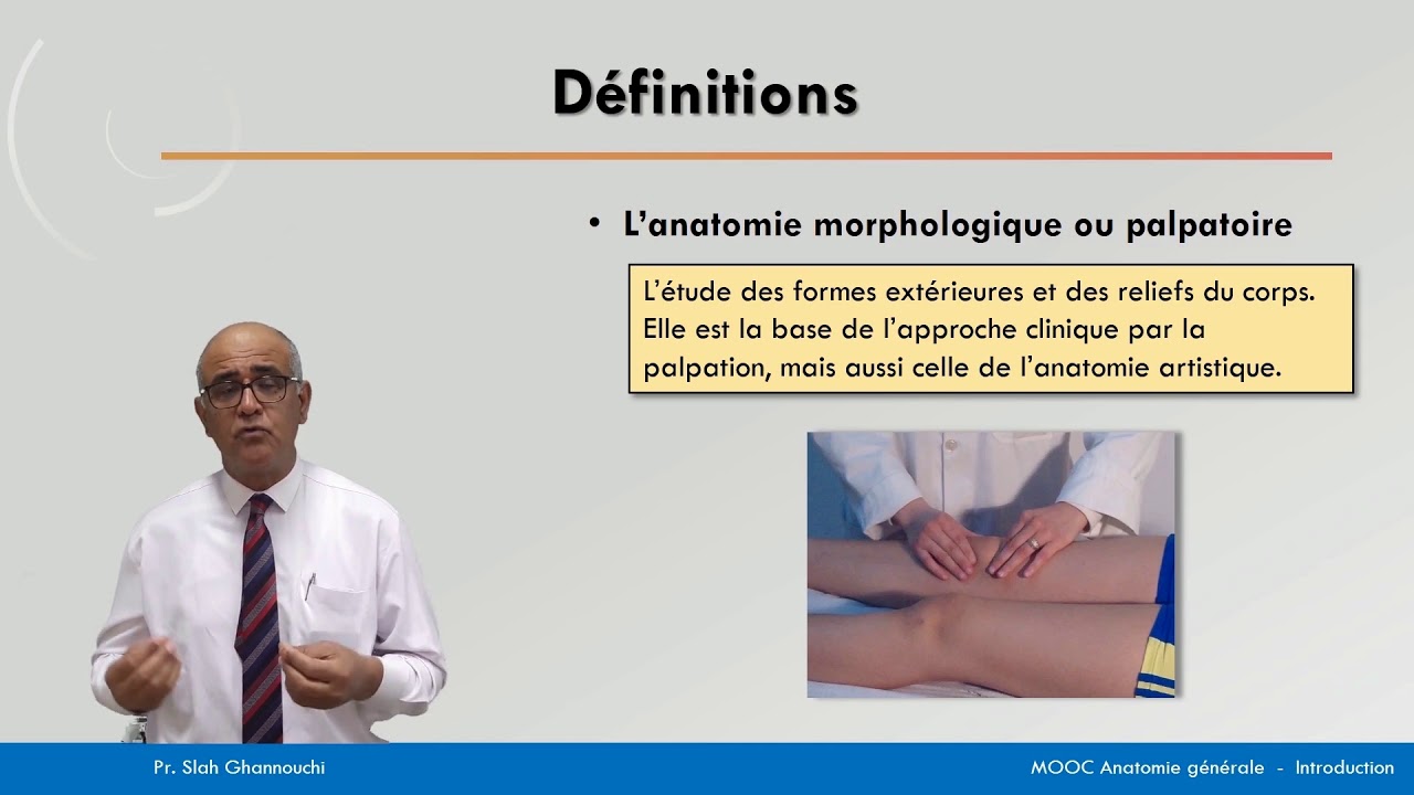 Anatomie générale - Définitions - YouTube