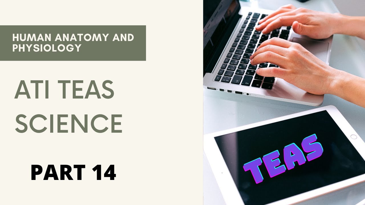 Multiple Choice Questions on TEAS Preparation Part 14 - YouTube