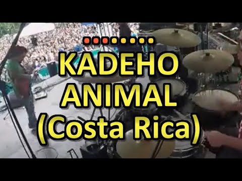 Kadeho - Animal [KARAOKE] - YouTube