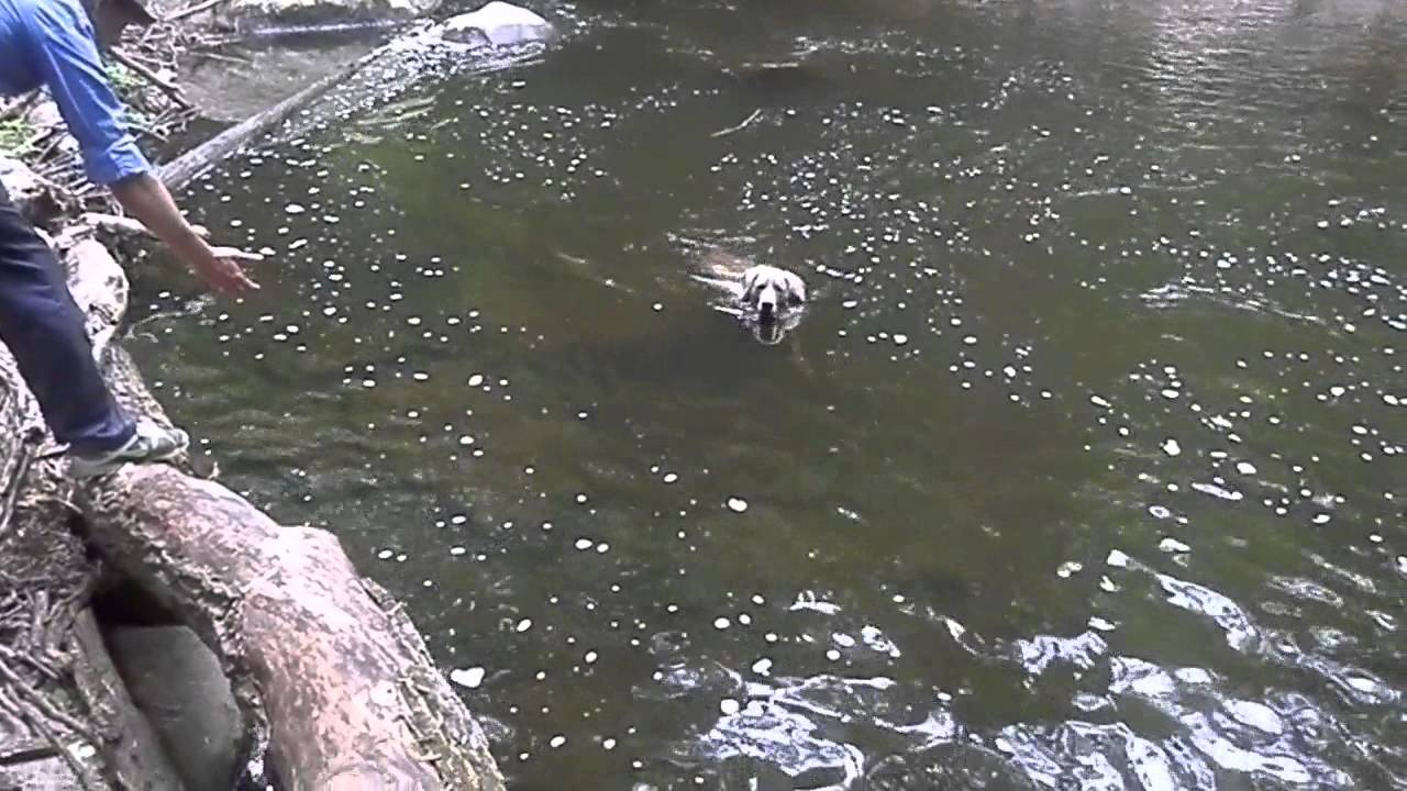 Mianus River Park, CT - YouTube