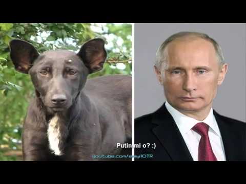 Ayırmakta Çok Zorlanacağınız 15 Benzer Şey -  - EN iYi 10