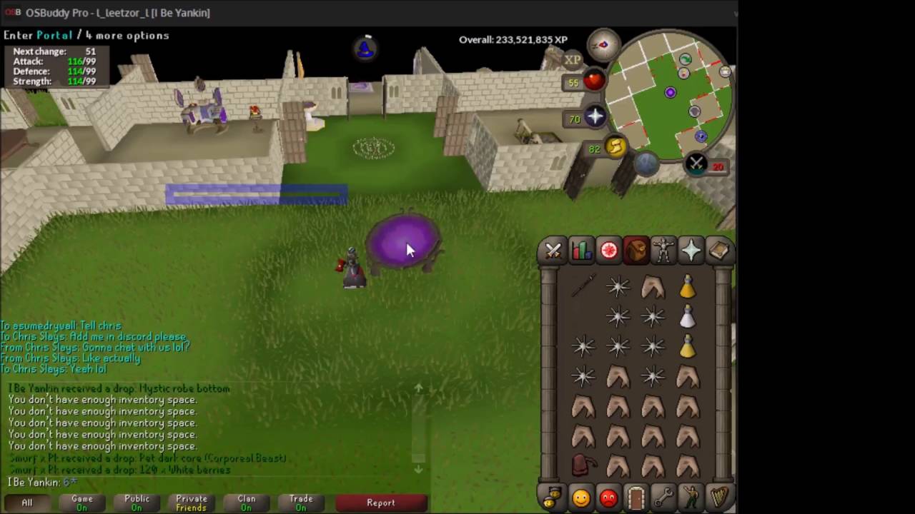 OSRS Smurf Core Pet 1 - YouTube