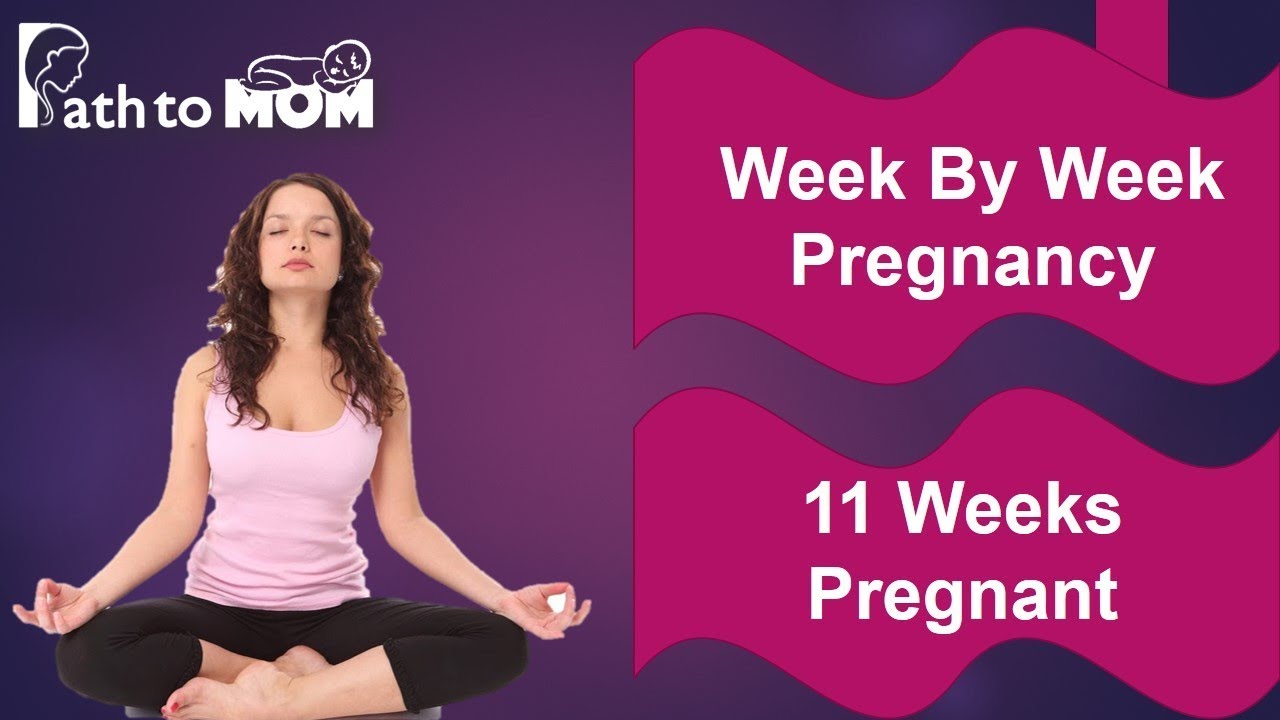 Pregnancy Week By Week | 11 Weeks Pregnant | Pregnancy Stages & Fetal ...