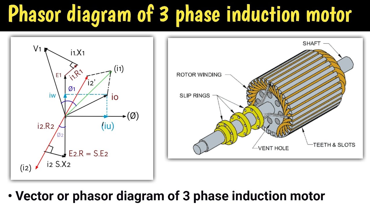 Draw The Phasor Diagram Of Three Phase Induction Motor