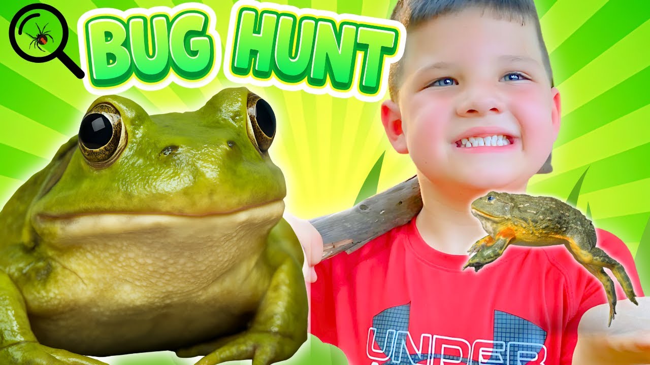 Caleb’s BIGGEST BUG HUNT EVER!!! - YouTube