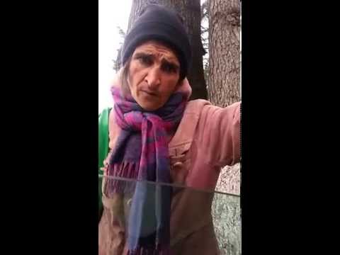 შუშანა - shushana (gorski)