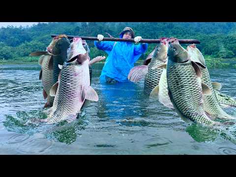 Rainy-day fishing skills – A young woman catches a giant carp using a bamboo tube.
