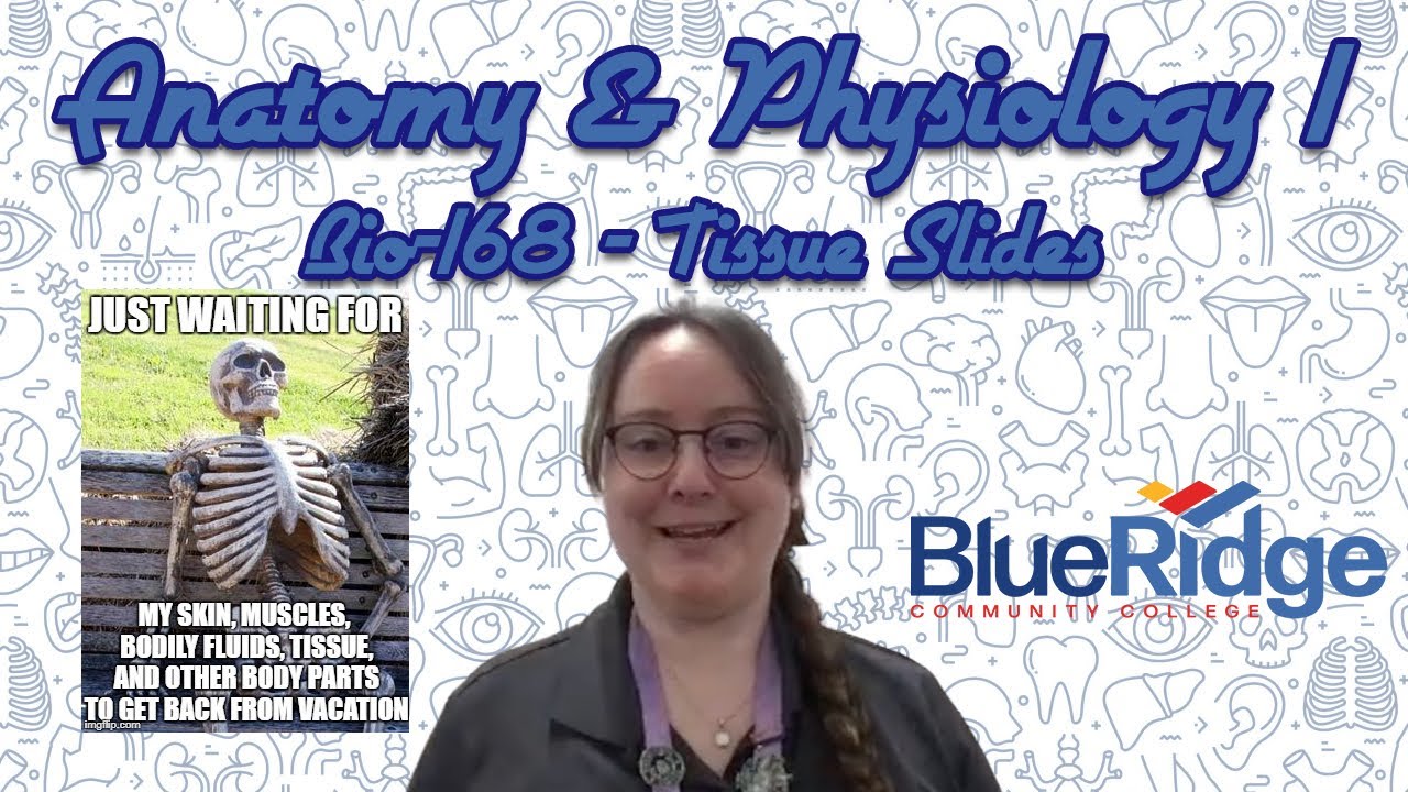 BIO-168: Tissue Slides - Chapter 5 - YouTube