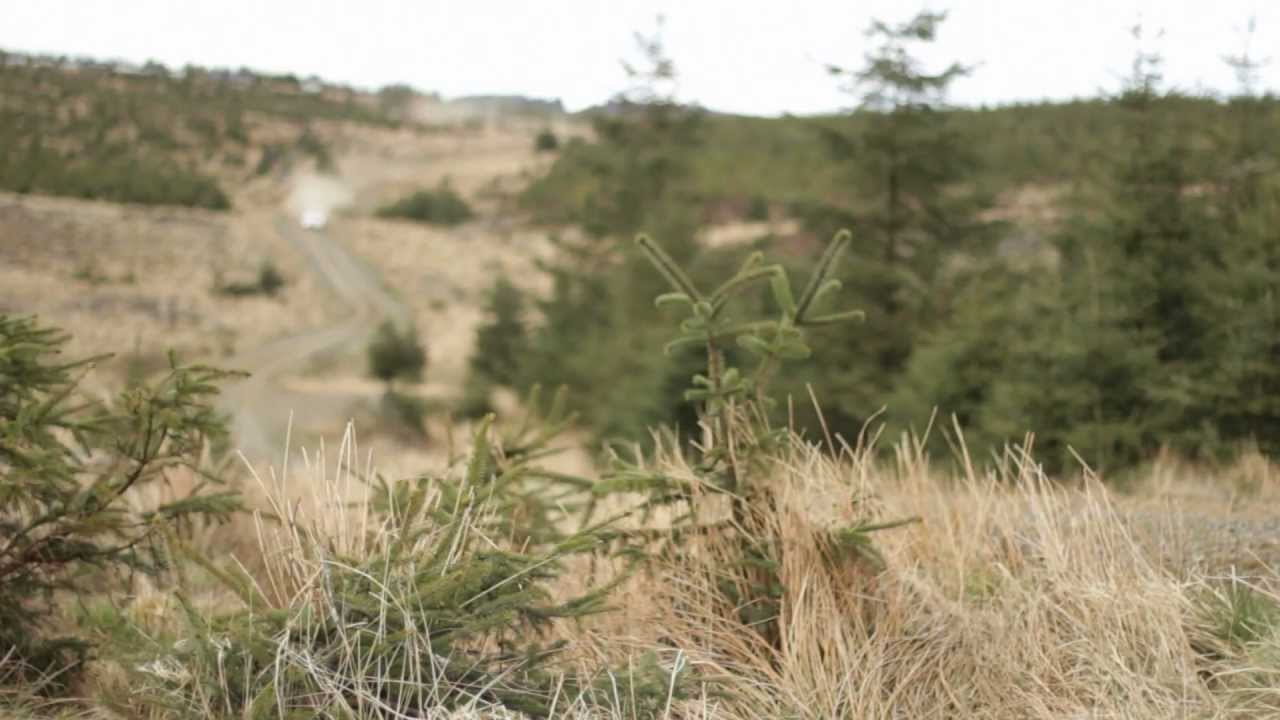 Rally Days BRC Challenge Pirelli RBF Rally 2013 Interviews - YouTube