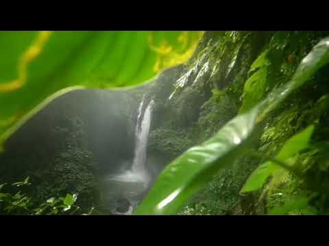#UP76 Nature Sounds-Waterfall-Relaxing Meditation W/O Birdsong-Calming ...