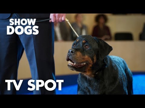 Show Dogs | \
