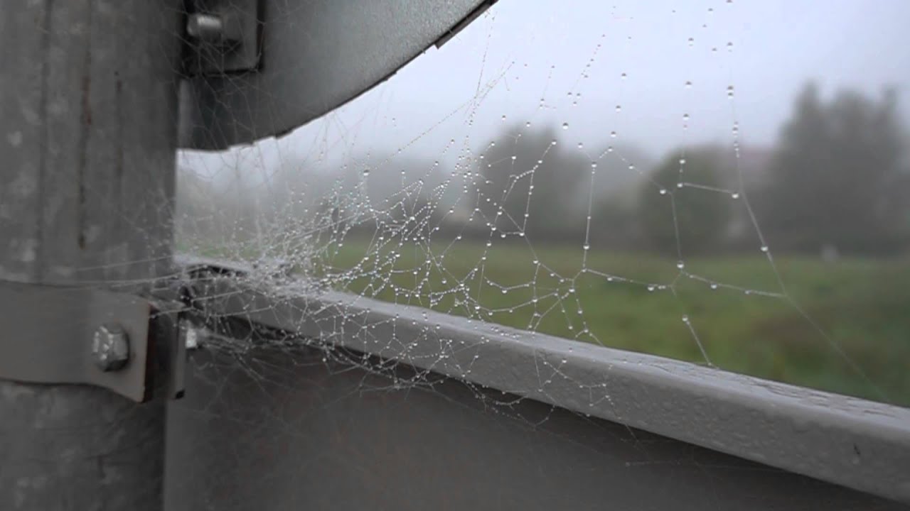 Sony RX100 IV RX100M4 1080p 500 fps video sample (handhield) - YouTube