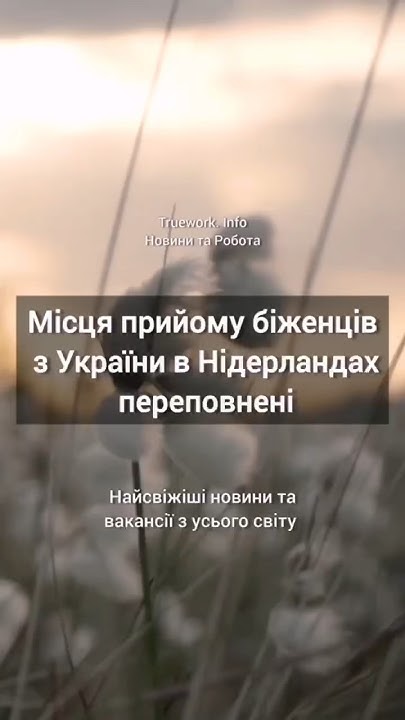 🇳🇱Місця прийому біженців з України в Нідерландах переповнені