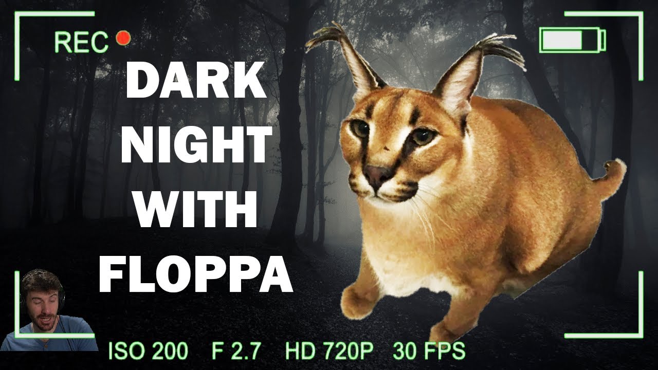 Collecting Cat Pictures While Big Floppa Torments Us | Dark Night With ...